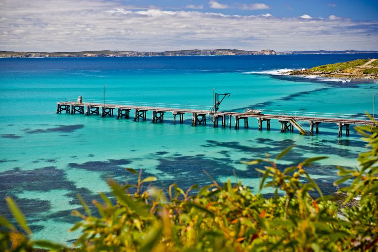 Living in SA – Global Adelaide