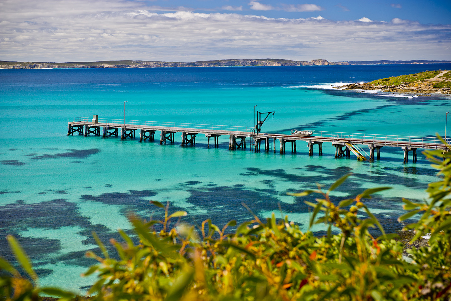 Living in SA – Global Adelaide